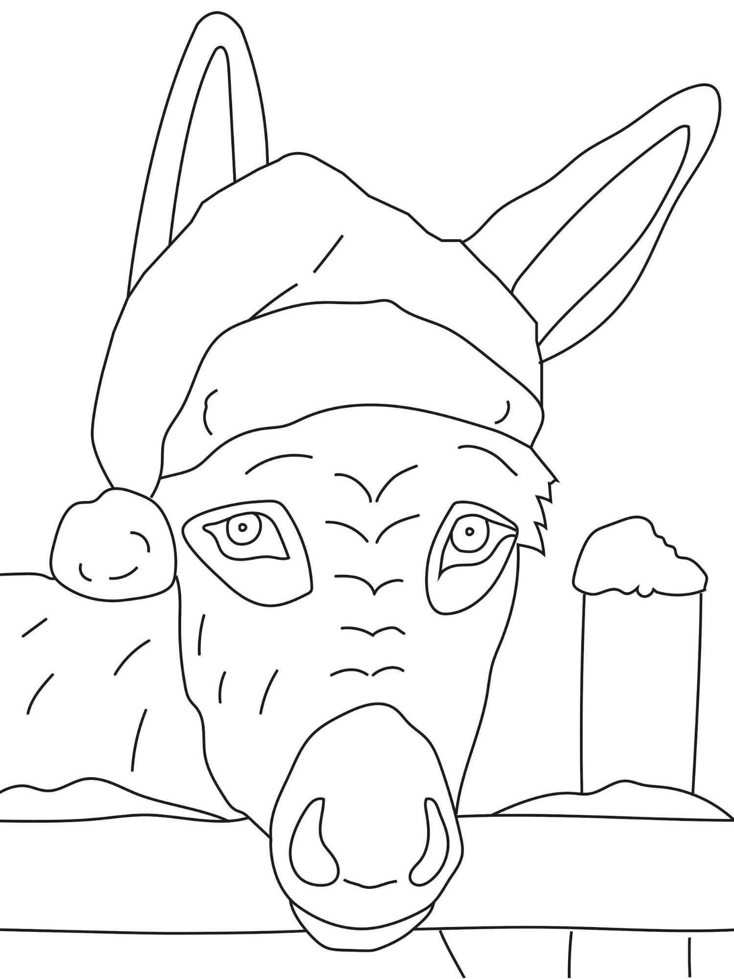 Christmas Donkey / Air